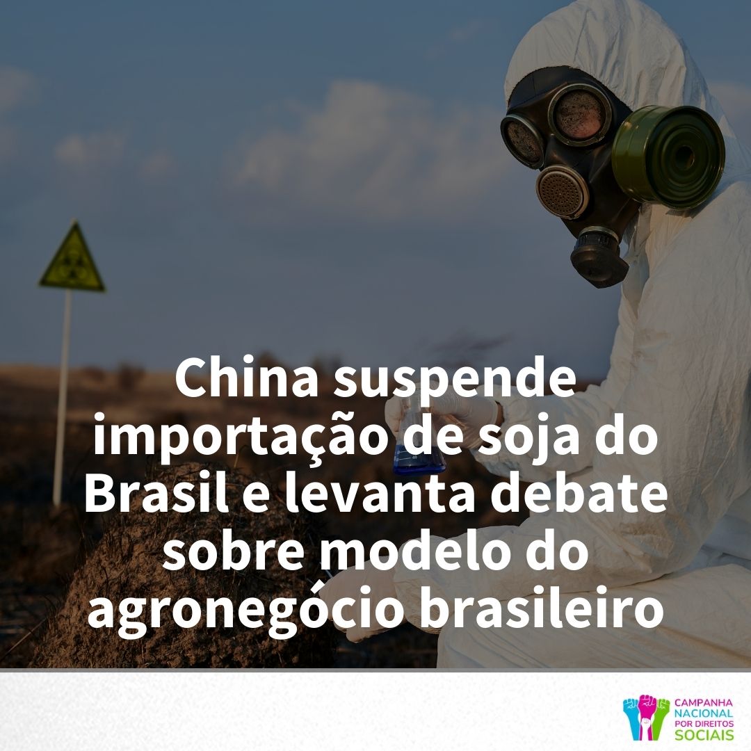 China suspende importação de soja do Brasil e levanta debate sobre ...
